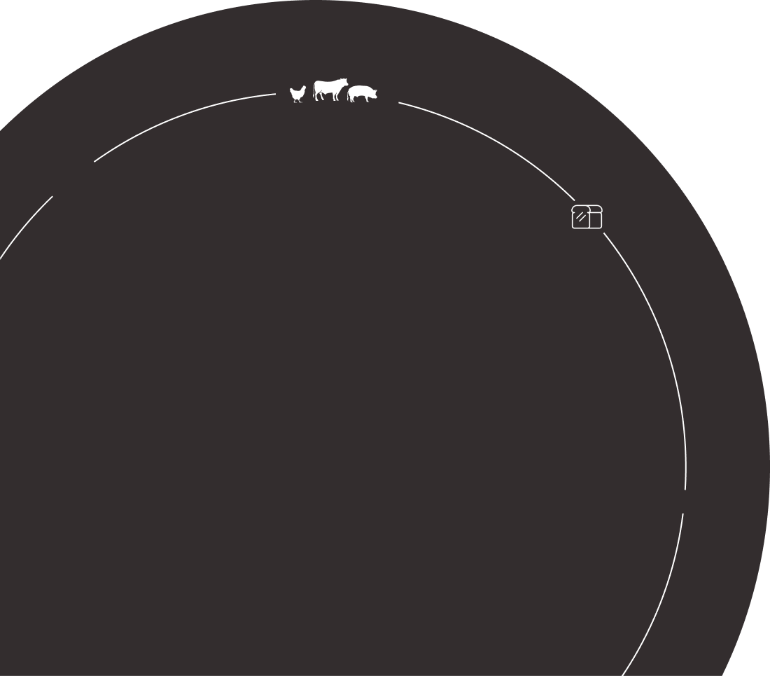 Home - Zambeef Products PLC