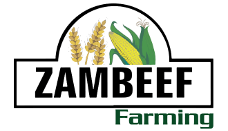 Home - Zambeef Products PLC